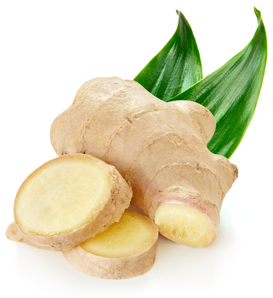 Ginger.jpg